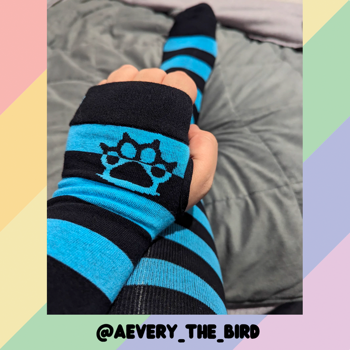 Light Blue vs Black Sockies – Angy Paws