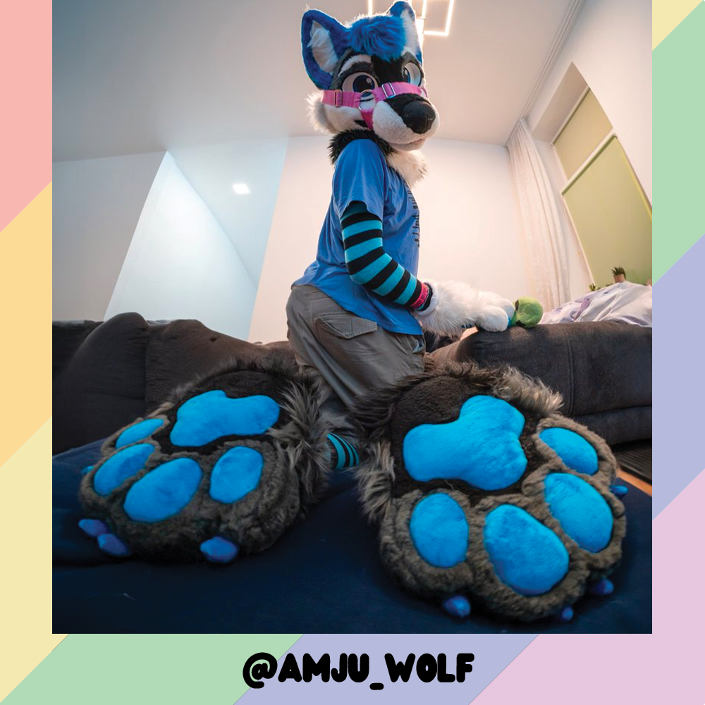 Light Blue vs Black Sockies – Angy Paws