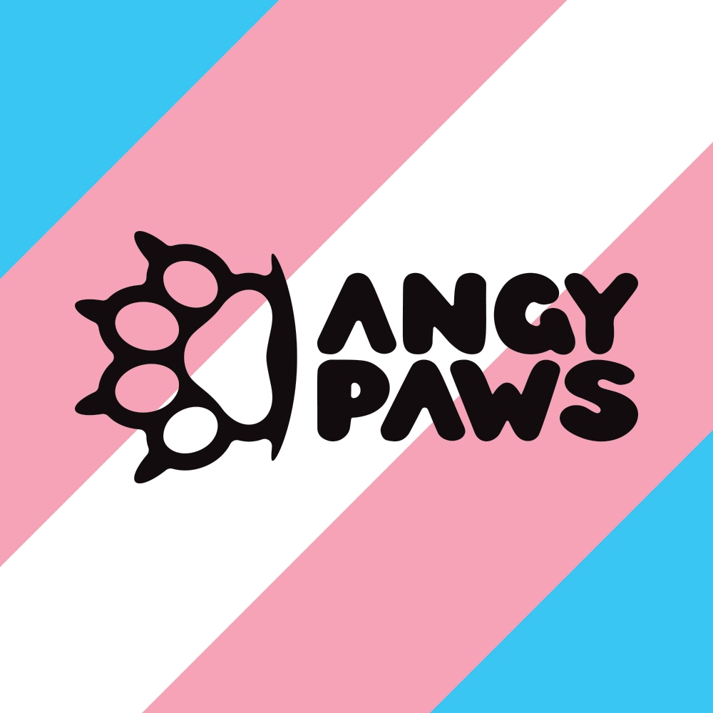 Trans Pride Slim Thigh High Sockies – Angy Paws