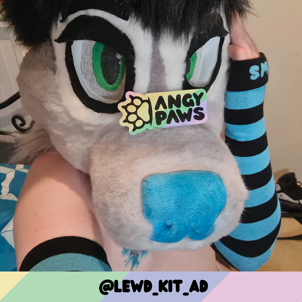 Light Blue vs Black Arm Warmers – Angy Paws